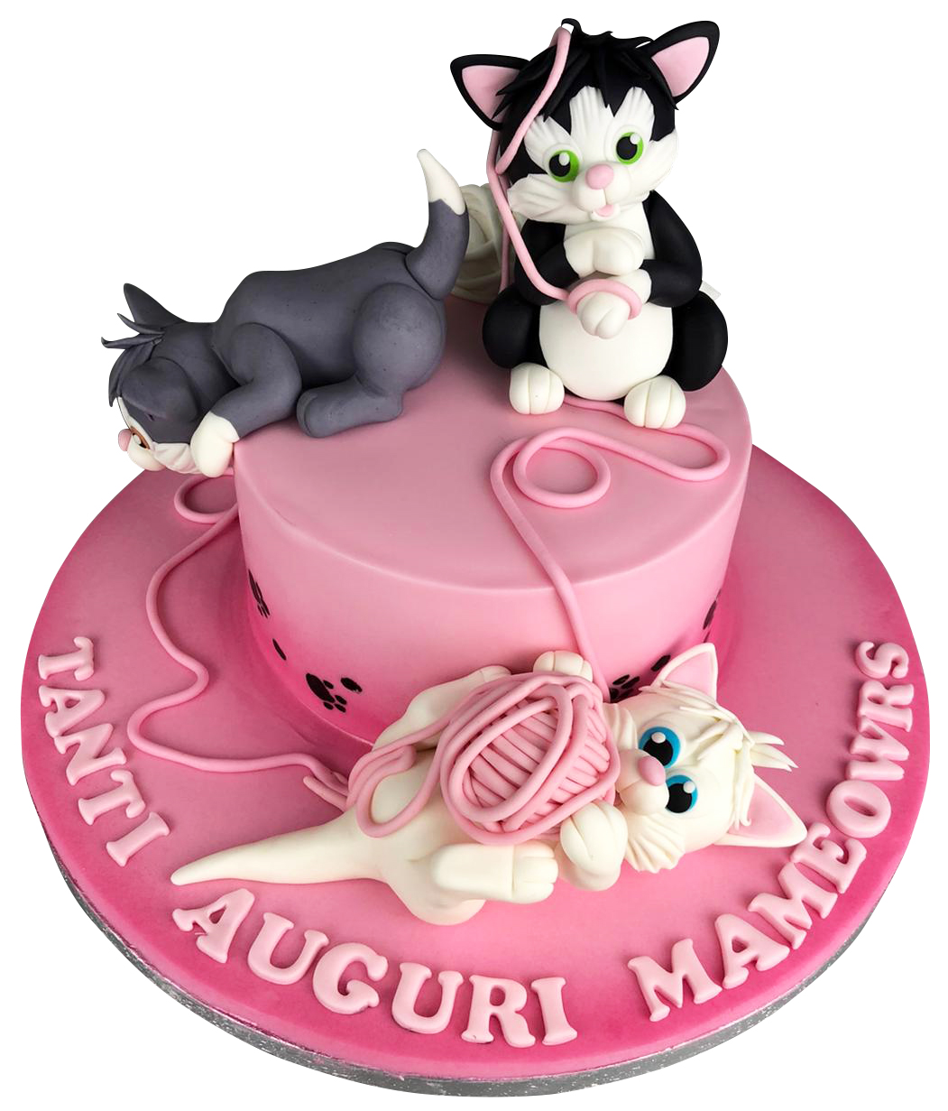 Cat Cake