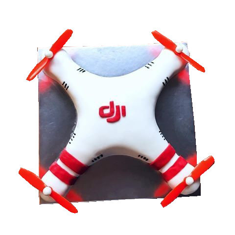 Drone cake