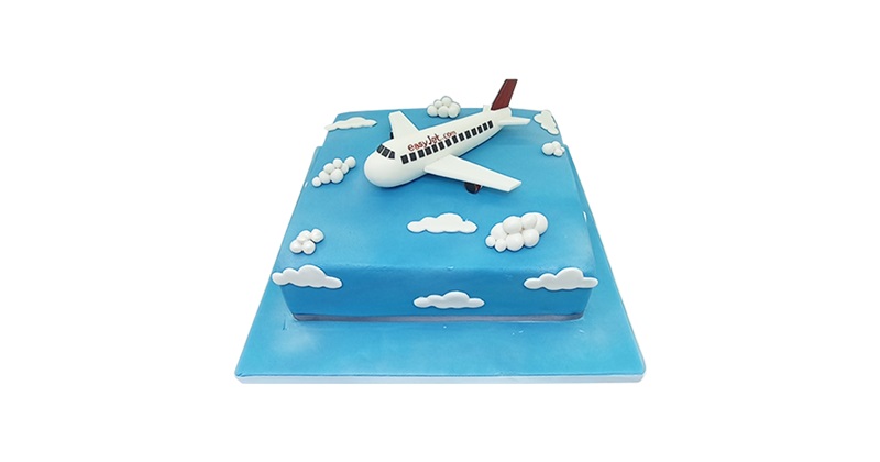 Aeroplane cake