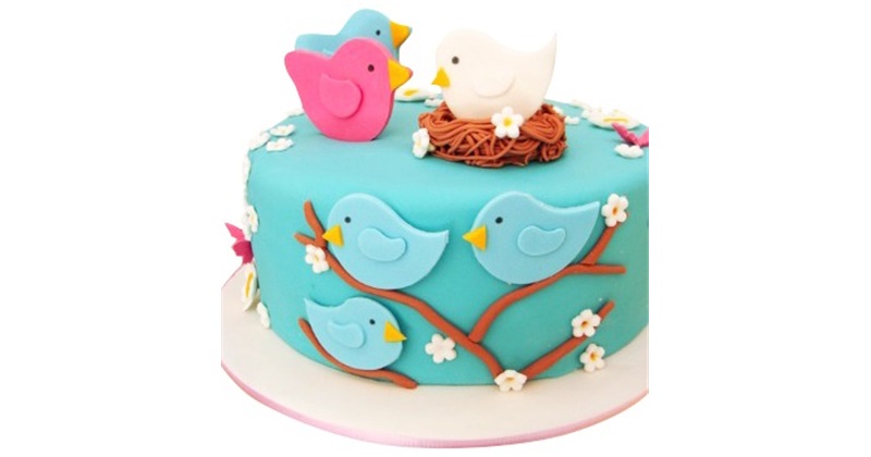 Bird Theme Cakes
