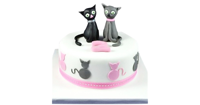 Cat Cake