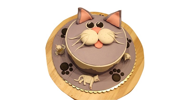 Cat cake