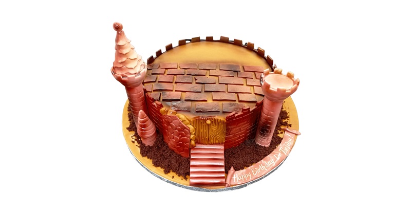 Knight Cake for Kids