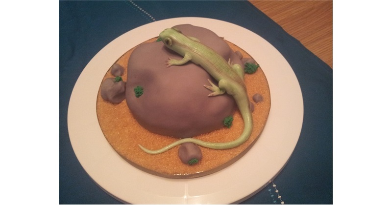 Lizard cake